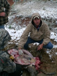 Why Graduate School? – Beef Runner