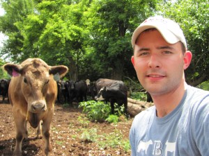 Caption This Cow | Looking for photography tips – Beef Runner